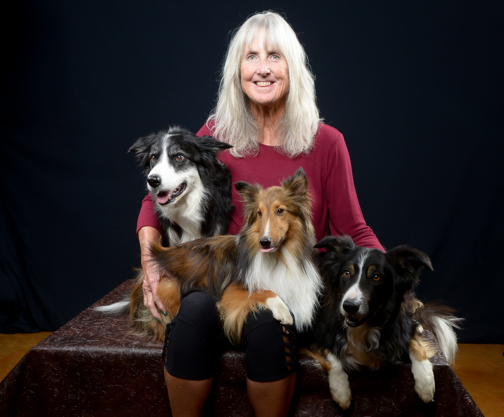 PAWS Agility : Recreational & Competitive Agility Training Since 1996